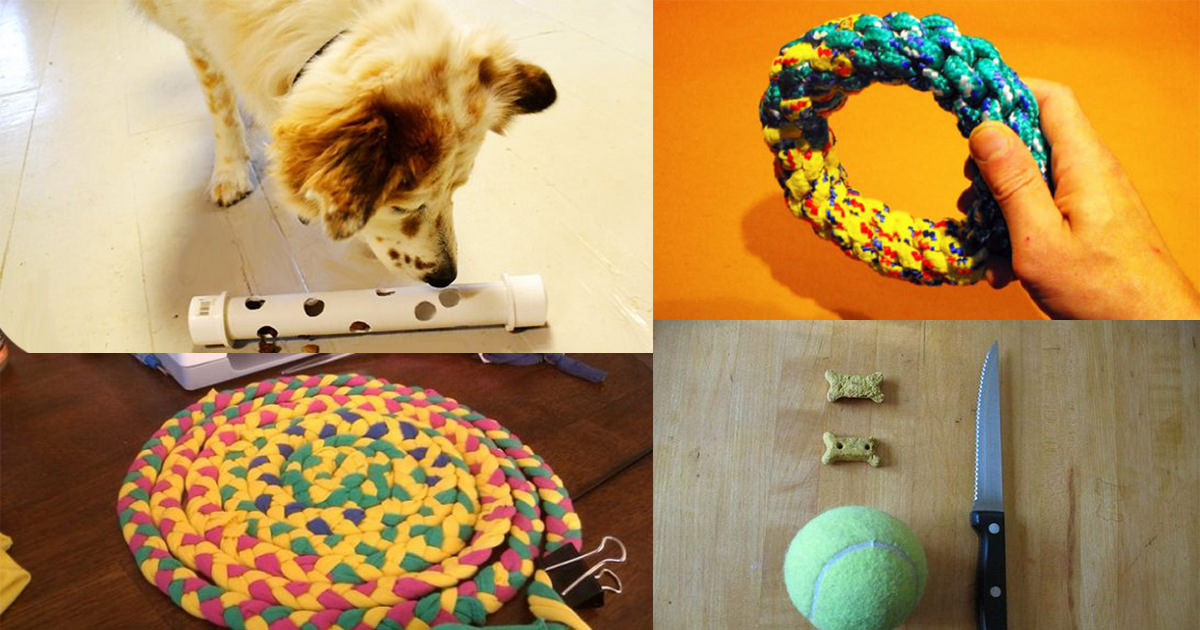 28 Homemade DIY Dog Toys To Keep Them Busy Bright Stuffs