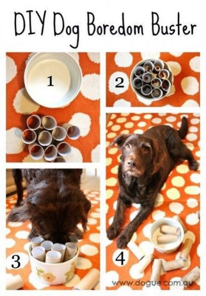28 Homemade DIY Dog Toys to Keep Them Busy ⋆ Bright Stuffs