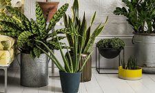 20 Great DIY Ideas To Deodorize Home Naturally ⋆ Bright Stuffs