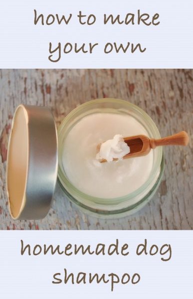 21 Best Homemade Dog Shampoo Recipes | DIY Dog Shampoo ⋆ Bright Stuffs