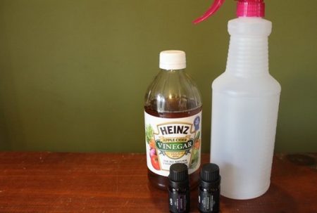 7 Homemade Flea Spray For Dogs ⋆ Bright Stuffs