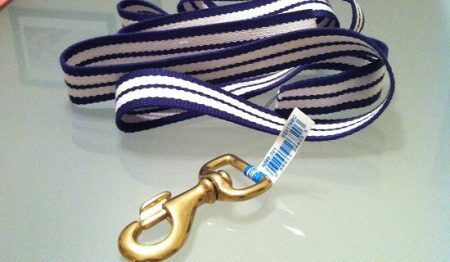 21 Handmade DIY Dog Leash Ideas for Dog Lovers ⋆ Bright Stuffs