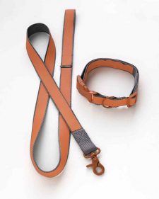 21 Handmade DIY Dog Leash Ideas for Dog Lovers ⋆ Bright Stuffs