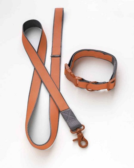 21 Handmade DIY Dog Leash Ideas for Dog Lovers ⋆ Bright Stuffs