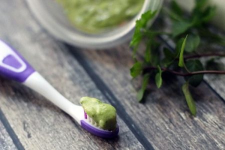 24 DIY DOG Toothpaste Recipes For Healthy & Odor-Free Mouth ⋆ Bright Stuffs