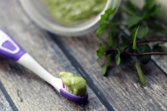 24 DIY DOG Toothpaste Recipes For Healthy & Odor-Free Mouth ⋆ Bright Stuffs