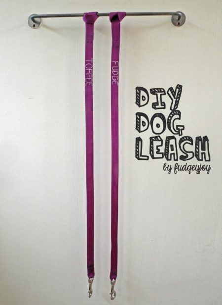 21 Handmade DIY Dog Leash Ideas for Dog Lovers ⋆ Bright Stuffs