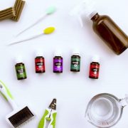 12 Homemade Deodorant Spray for Dogs | DIY Dog Deodorizer Spray