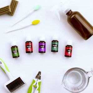12 Homemade Deodorant Spray for Dogs | DIY Dog Deodorizer Spray