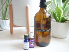 12 Homemade Deodorant Spray for Dogs | DIY Dog Deodorizer Spray