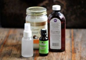 12 Homemade Deodorant Spray for Dogs | DIY Dog Deodorizer Spray