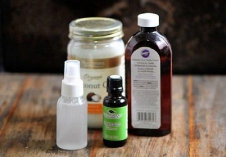 12 Homemade Deodorant Spray for Dogs | DIY Dog Deodorizer Spray