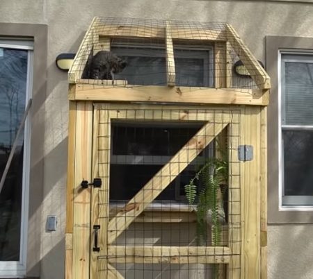 21 Best DIY Cat Enclosure Plans and Ideas | DIY Catio Ideas ⋆ Bright Stuffs