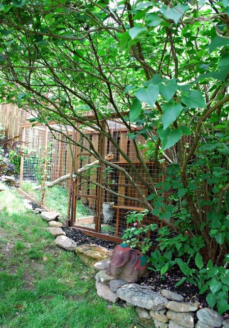 21 Best DIY Cat Enclosure Plans and Ideas | DIY Catio Ideas ⋆ Bright Stuffs