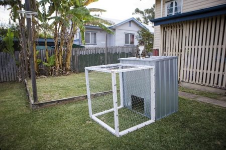 25 Best DIY Cat Enclosure Plans & Ideas ⋆ Bright Stuffs