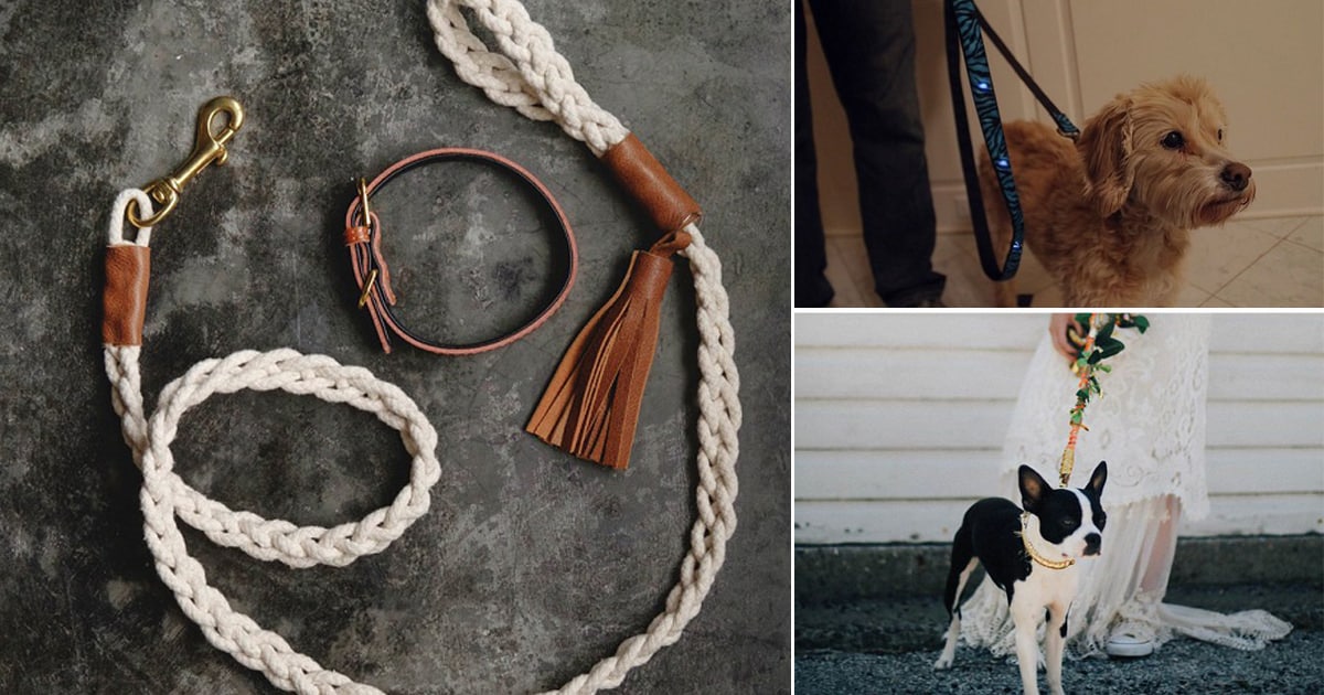 21 Handmade DIY Dog Leash Ideas for Dog Lovers ⋆ Bright Stuffs