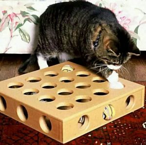 13 DIY Cardboard Cat Toys Ideas ⋆ Bright Stuffs