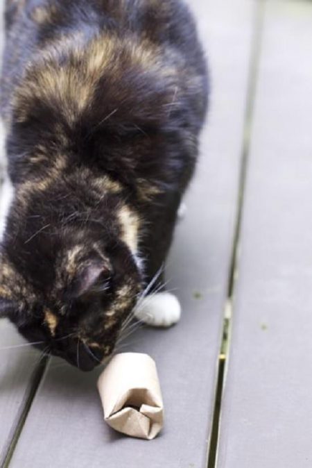 13 DIY Cardboard Cat Toys Ideas ⋆ Bright Stuffs