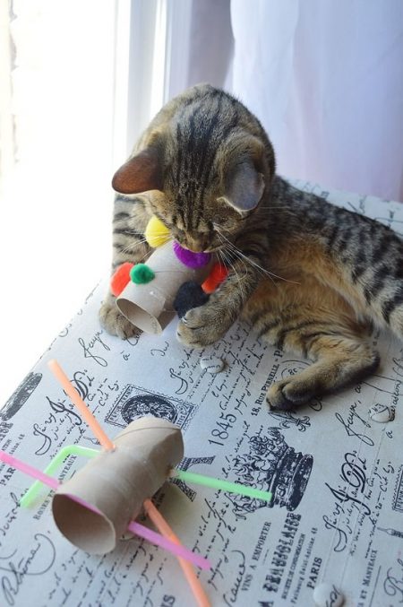 13 DIY Cardboard Cat Toys Ideas ⋆ Bright Stuffs