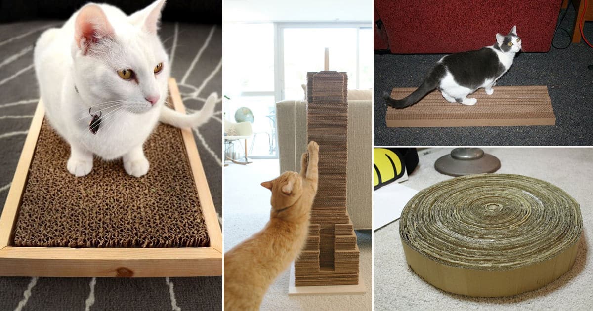12 DIY Cardboard Cat Scratcher Ideas To Make At Home Bright Stuffs