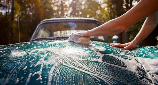6 Home Remedies to Get Bugs Off of Your Car ⋆ Bright Stuffs