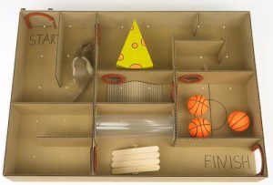 20 Handmade DIY Rat Toys Ideas ⋆ Bright Stuffs