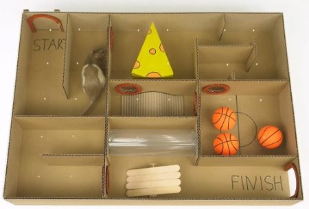 20 Handmade DIY Rat Toys Ideas ⋆ Bright Stuffs