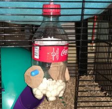 20 Handmade DIY Rat Toys Ideas ⋆ Bright Stuffs