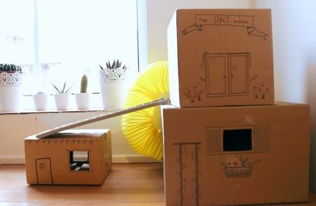 20 Handmade DIY Rat Toys Ideas ⋆ Bright Stuffs