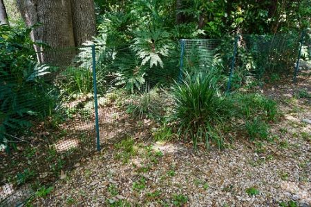 10 Best DIY Pipe Fence Ideas ⋆ Bright Stuffs
