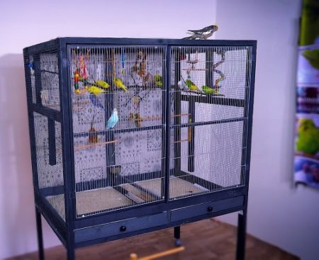 13 Homemade Bird Cage Ideas ⋆ Bright Stuffs