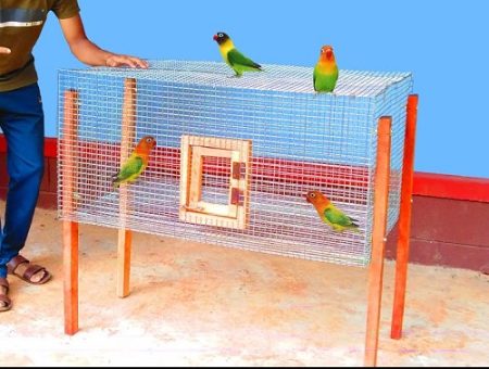 13 Homemade Bird Cage Ideas ⋆ Bright Stuffs