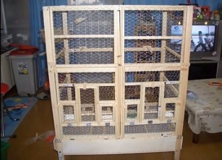 13 Homemade Bird Cage Ideas ⋆ Bright Stuffs