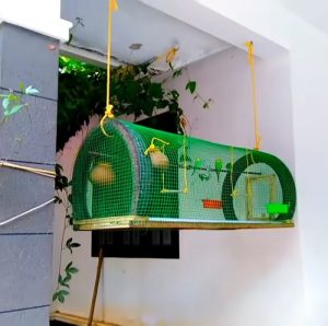 13 Homemade Bird Cage Ideas ⋆ Bright Stuffs