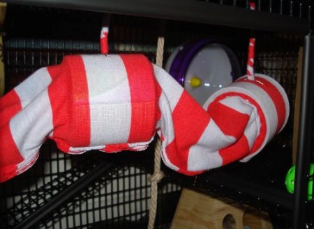 20 Handmade DIY Rat Toys Ideas ⋆ Bright Stuffs