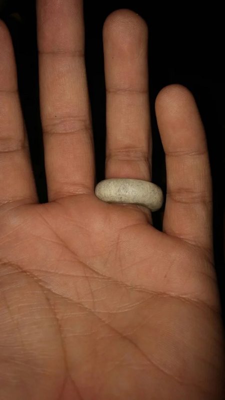 16 Creative Deer Antler Crafts Ideas ⋆ Bright Stuffs