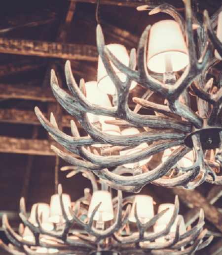 16 Creative Deer Antler Crafts Ideas ⋆ Bright Stuffs