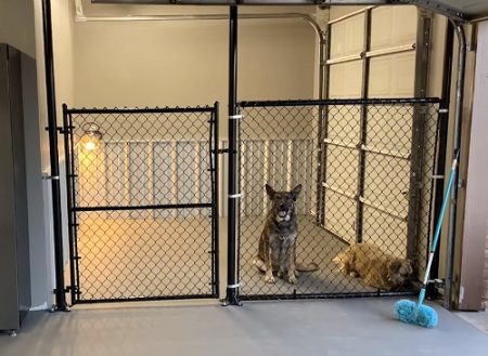 7 Best Dog Kennel in Garage Ideas ⋆ Bright Stuffs