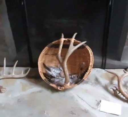 16 Creative Deer Antler Crafts Ideas ⋆ Bright Stuffs