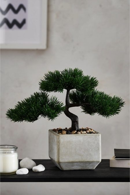 16 Attractive Bonsai Display Ideas ⋆ Bright Stuffs