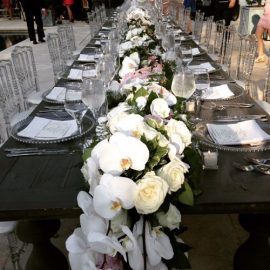 20 Impressive Orchids Display Ideas ⋆ Bright Stuffs