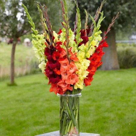 24 Eye-Catching Gladiolus Arrangement Ideas ⋆ Bright Stuffs