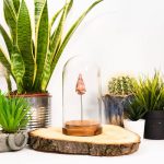 10 Best Arrowhead Display Ideas ⋆ Bright Stuffs