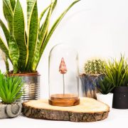 10 Best Arrowhead Display Ideas ⋆ Bright Stuffs