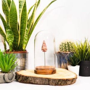 10 Best Arrowhead Display Ideas ⋆ Bright Stuffs