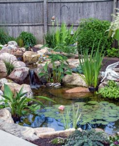 15 Amazing Rock Display Ideas ⋆ Bright Stuffs