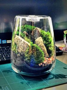 15 Amazing Rock Display Ideas ⋆ Bright Stuffs