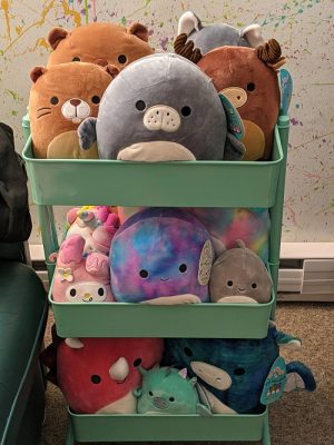 13 Best Squishmallow Display Ideas ⋆ Bright Stuffs