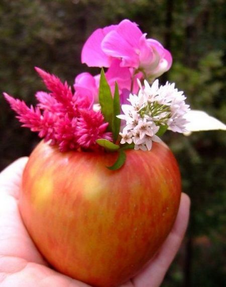 16 Amazing Apple Decorating Ideas ⋆ Bright Stuffs