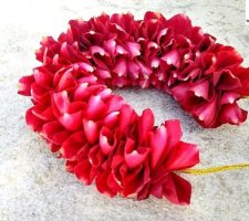 15 Impressive Rose Petal Decoration Ideas ⋆ Bright Stuffs